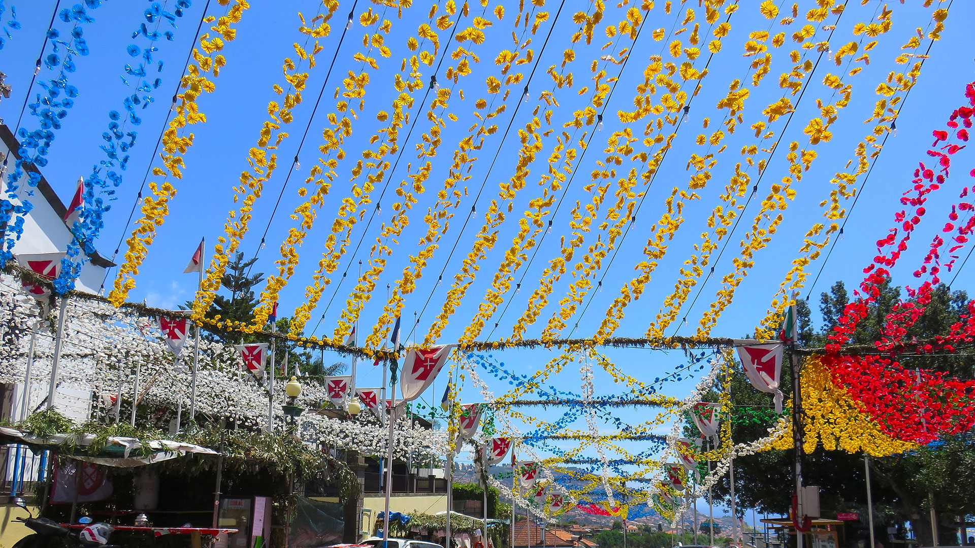 Experience the Magic of Madeira This Summer with Lido Tours! - Lido Tours